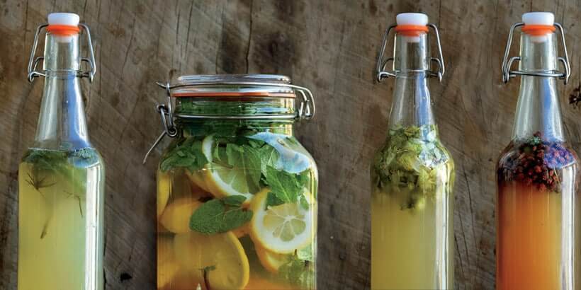 Winter in the Forest Beer: Creating Unique Drinks from Nature’s ...