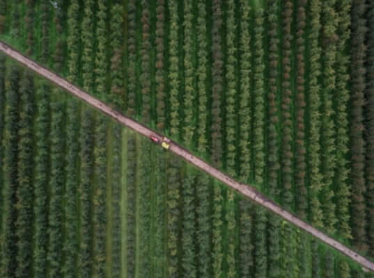 Why Farm Infrastructure is Important: More Than Land