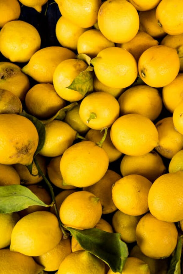 The wonderful world of lemons - Chelsea Green Publishing