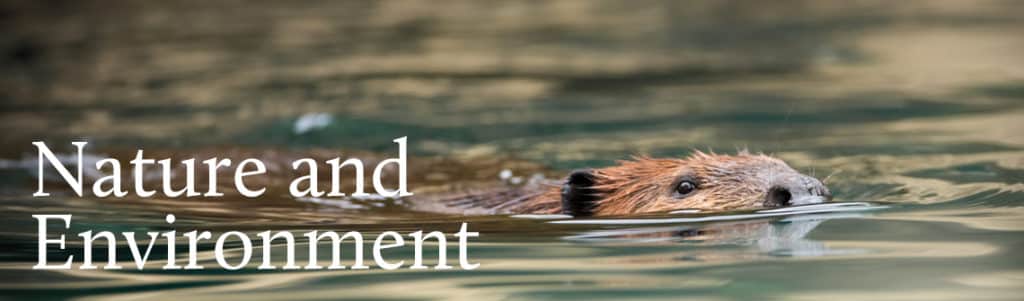 Nature & Environment | Chelsea Green Publishing