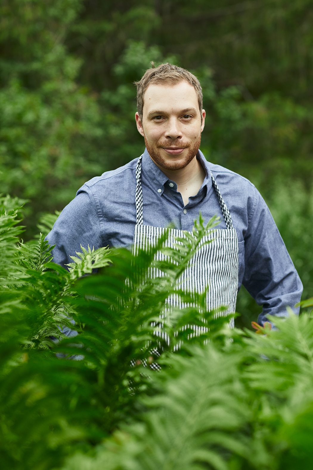 Alan Bergo - Chelsea Green Publishing