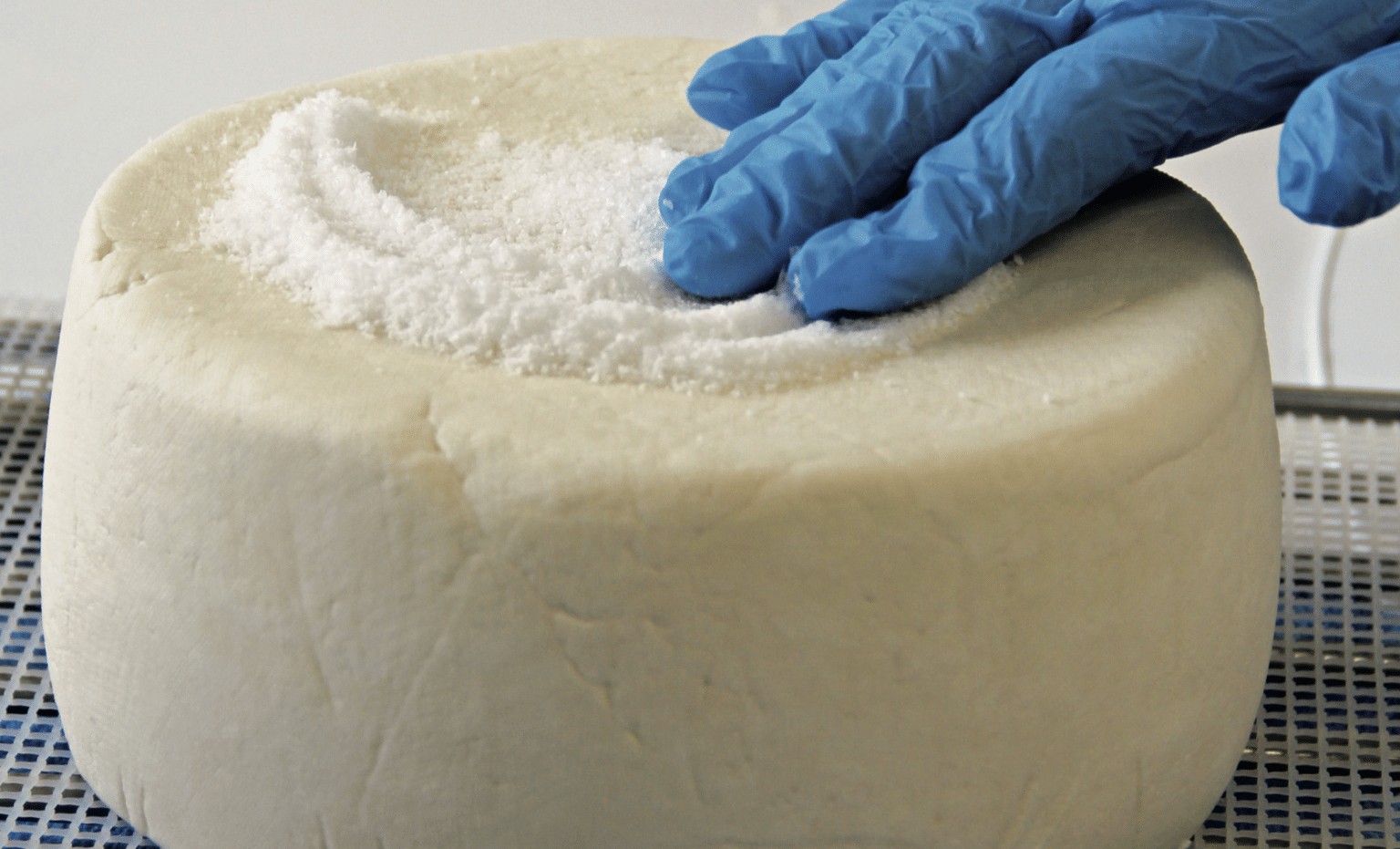 How To Make Blue Cheese | Chelsea Green Publishing