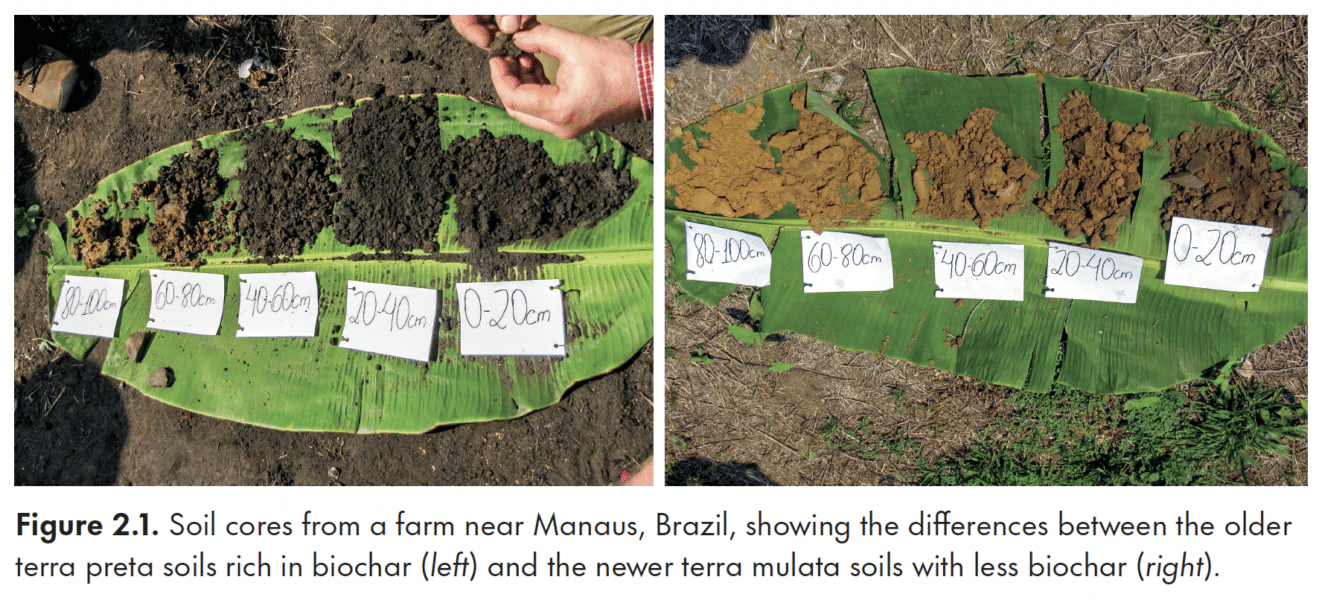 What is Biochar and How Does it Work?