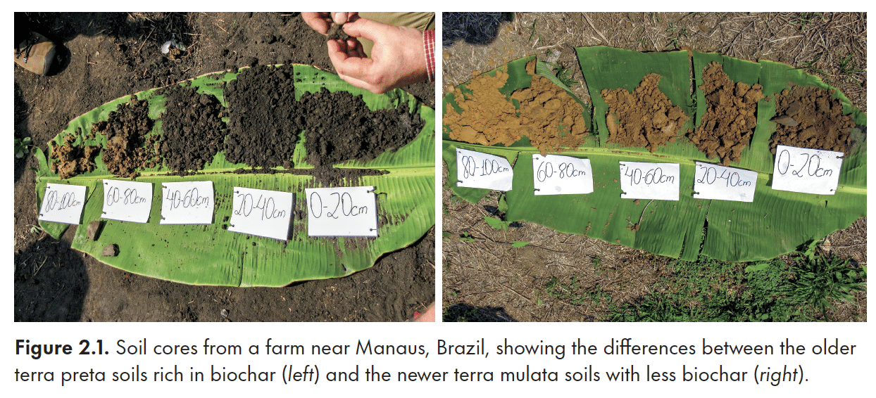 The Secrets of Fixing the Soil with Biochar