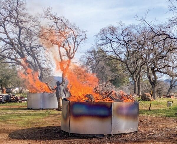 What is Biochar and How Does it Work?