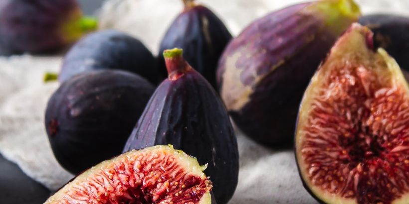 10 Fascinating Fig Facts - Chelsea Green Publishing 10 Fascinating Fig Facts - Chelsea Green Publishing