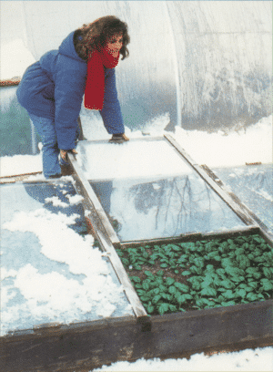 Build Your Own Cold Frame, Part 3: Get a Jump on the Planting Season