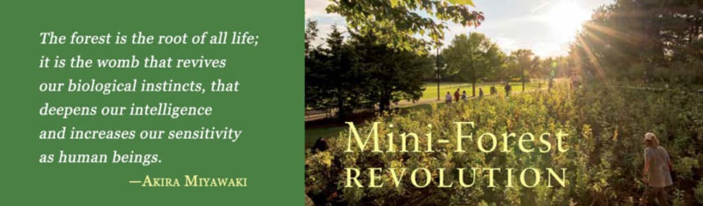 Chelsea Green Publishing | Politics & Practice of Sustainable Living