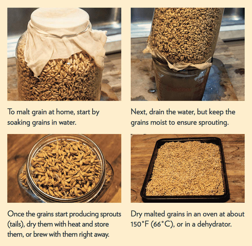Malt Your Own Grain at Home: Brewing from Scratch | Chelsea Green ...