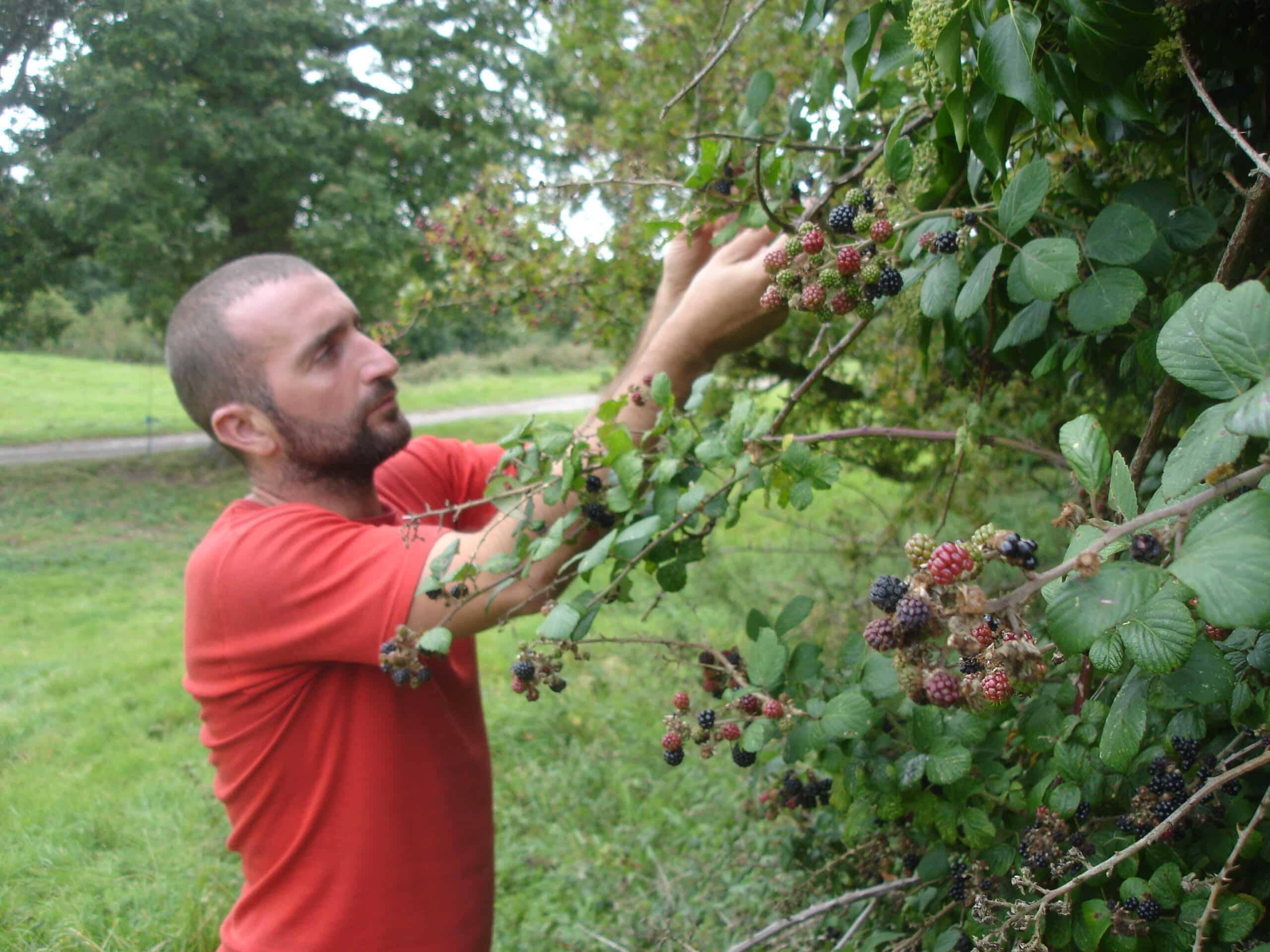 Mark Boyle - Chelsea Green Publishing
