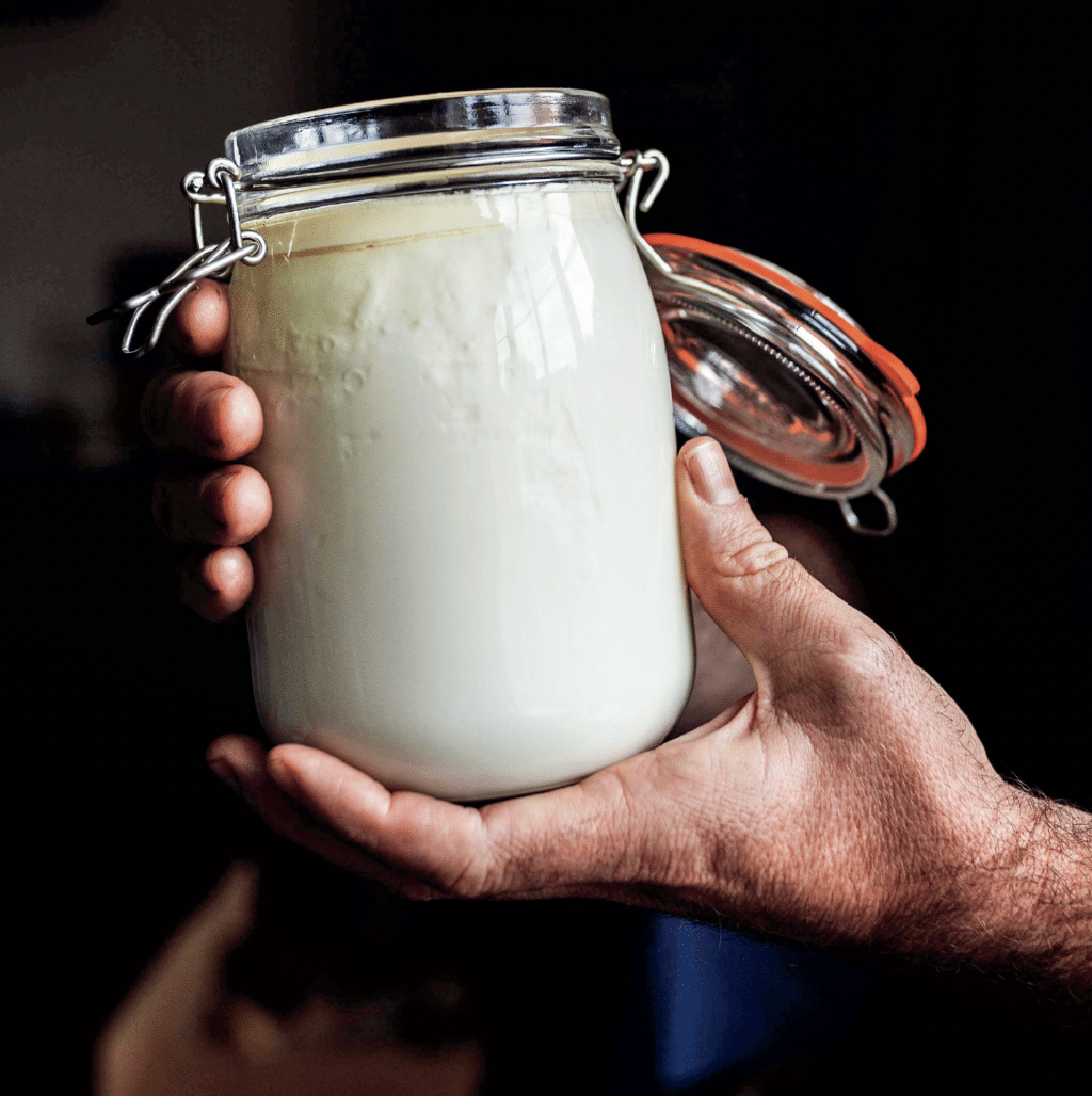 Natural Cheesemaking: A Love Letter to Milk