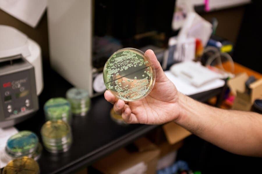 So You Want to Be a Mycologist - Chelsea Green Publishing