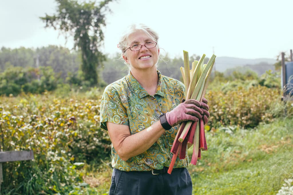 Books by Nancy J. Hayden | Buy Direct from the Publisher - Chelsea ...