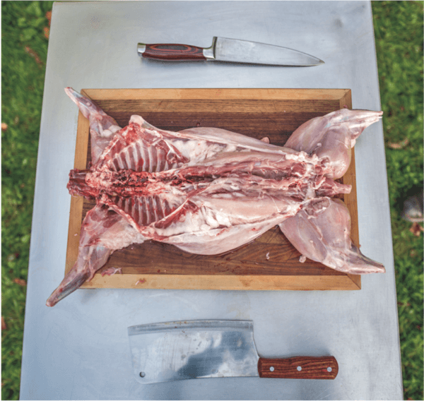 Preparing and Cooking Rabbit | Chelsea Green Publishing