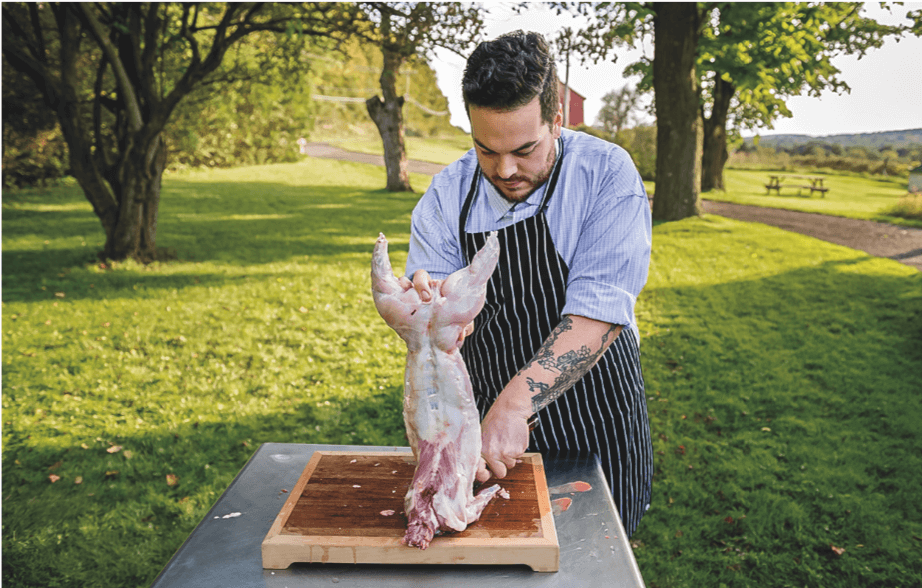 Preparing and Cooking Rabbit | Chelsea Green Publishing