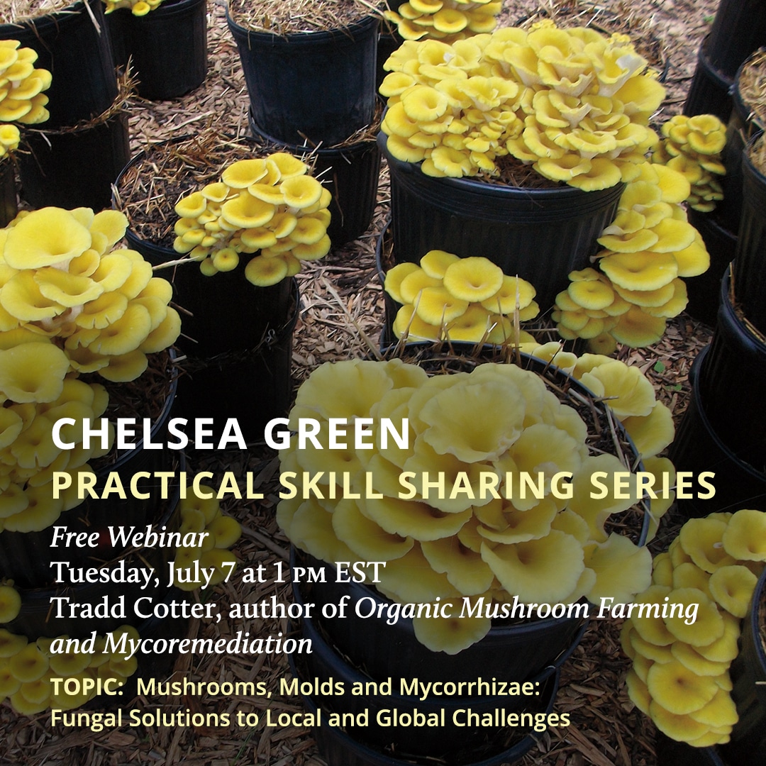 Chelsea Green Publishing | Politics & Practice of Sustainable Living