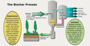 How to Make Biochar | Chelsea Green Publishing
