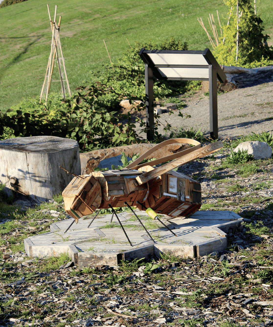Food Forests: What is a Community Food Forest?