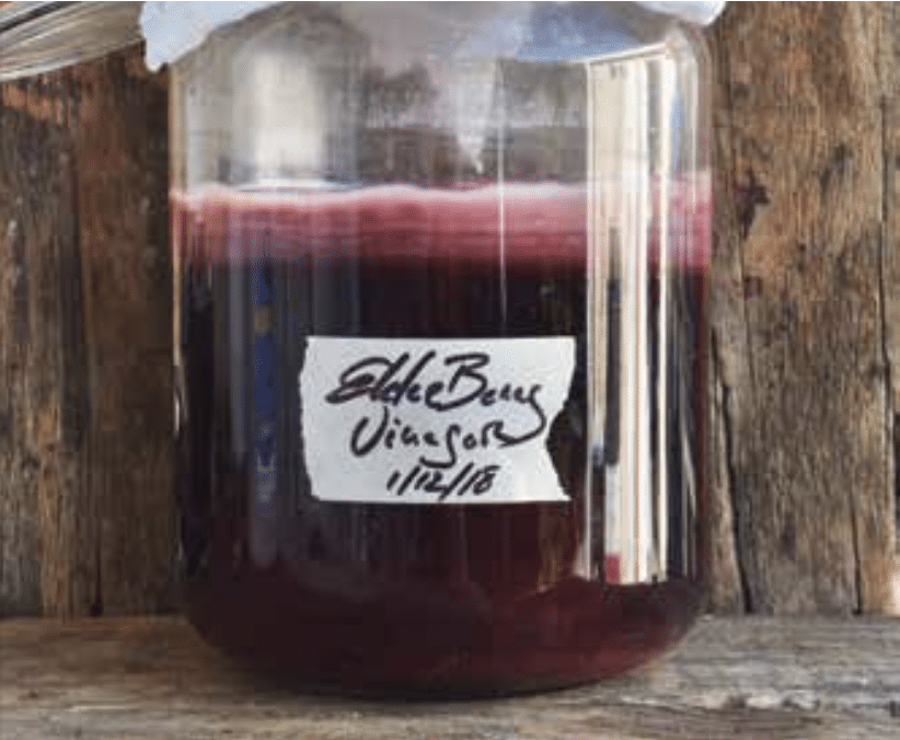 The Vibrance of Vinegar: How to Make Vinegar From Scratch