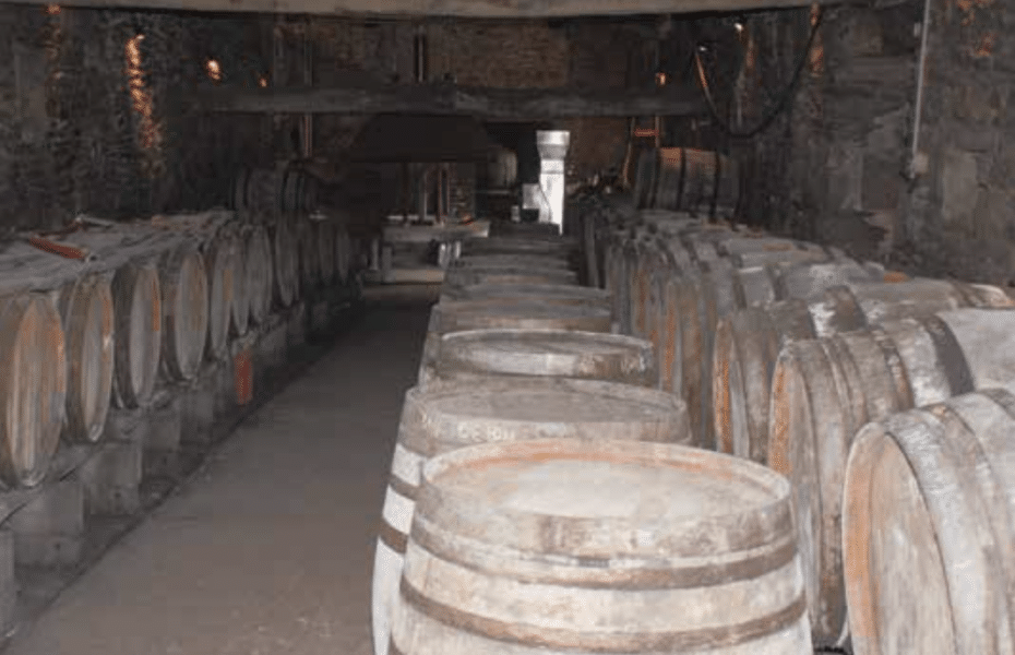 Fermenting Apples for Cider | Chelsea Green Publishing