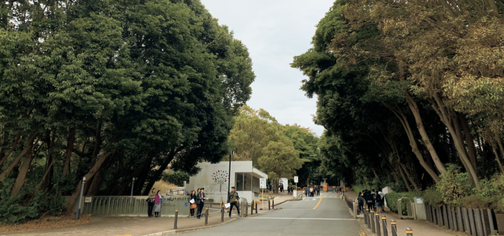 Mini-Forest Revolution: An Interview With Hannah Lewis