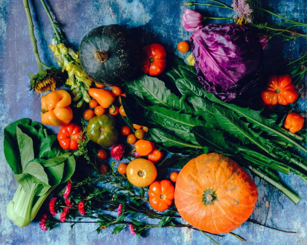 Presenting a Four-Season Harvest - Chelsea Green Publishing