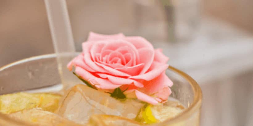 Recipe: Hibiscus and Rose Hip Soda | Chelsea Green Publishing