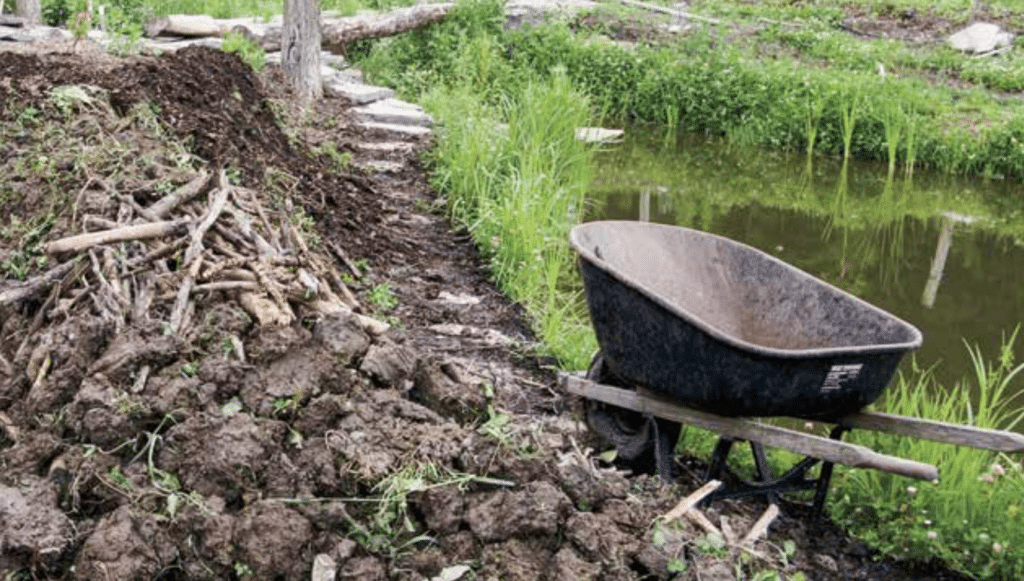 The Seven Layers of A Forest Garden - resilience