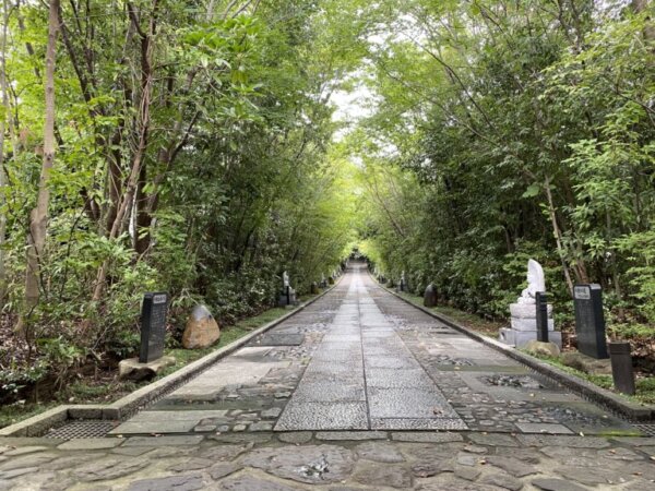 The Miyawaki Method: Imagining a Mini-Forest’s Potential