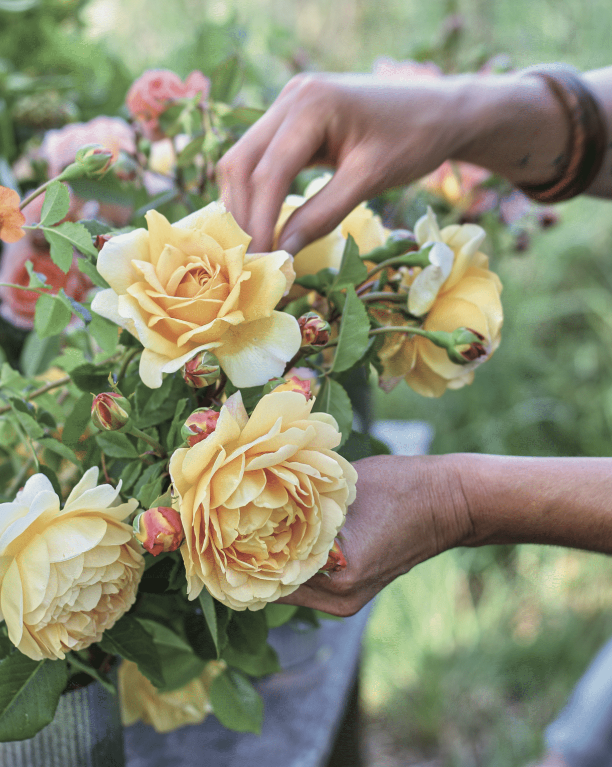 Starting A Flower Farm: 7 Steps to Crop Planning