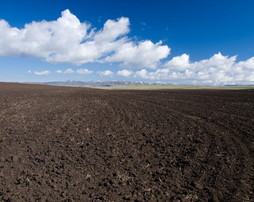 Care of the Soil - Chelsea Green Publishing