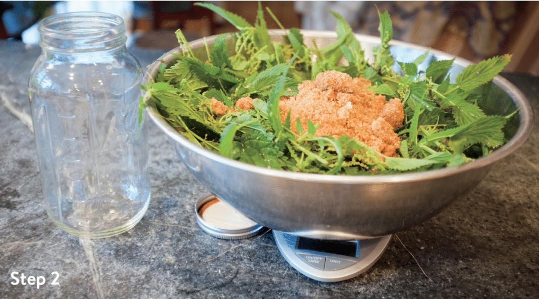 Fermented Plant Juice: A Drink Only a Garden Could Love