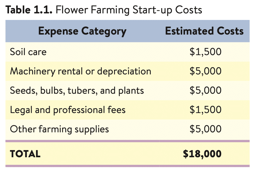 Starting & Growing A Flower Farm: What to Consider