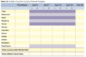 Starting A Flower Farm: 7 Steps to Crop Planning