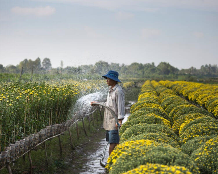 Minerals in Your Farm’s Water | Chelsea Green Publishing